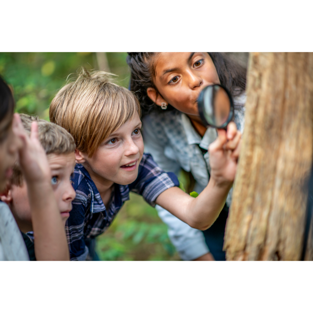 Spring Science & Nature Exploration - Bright Years | Bright Years